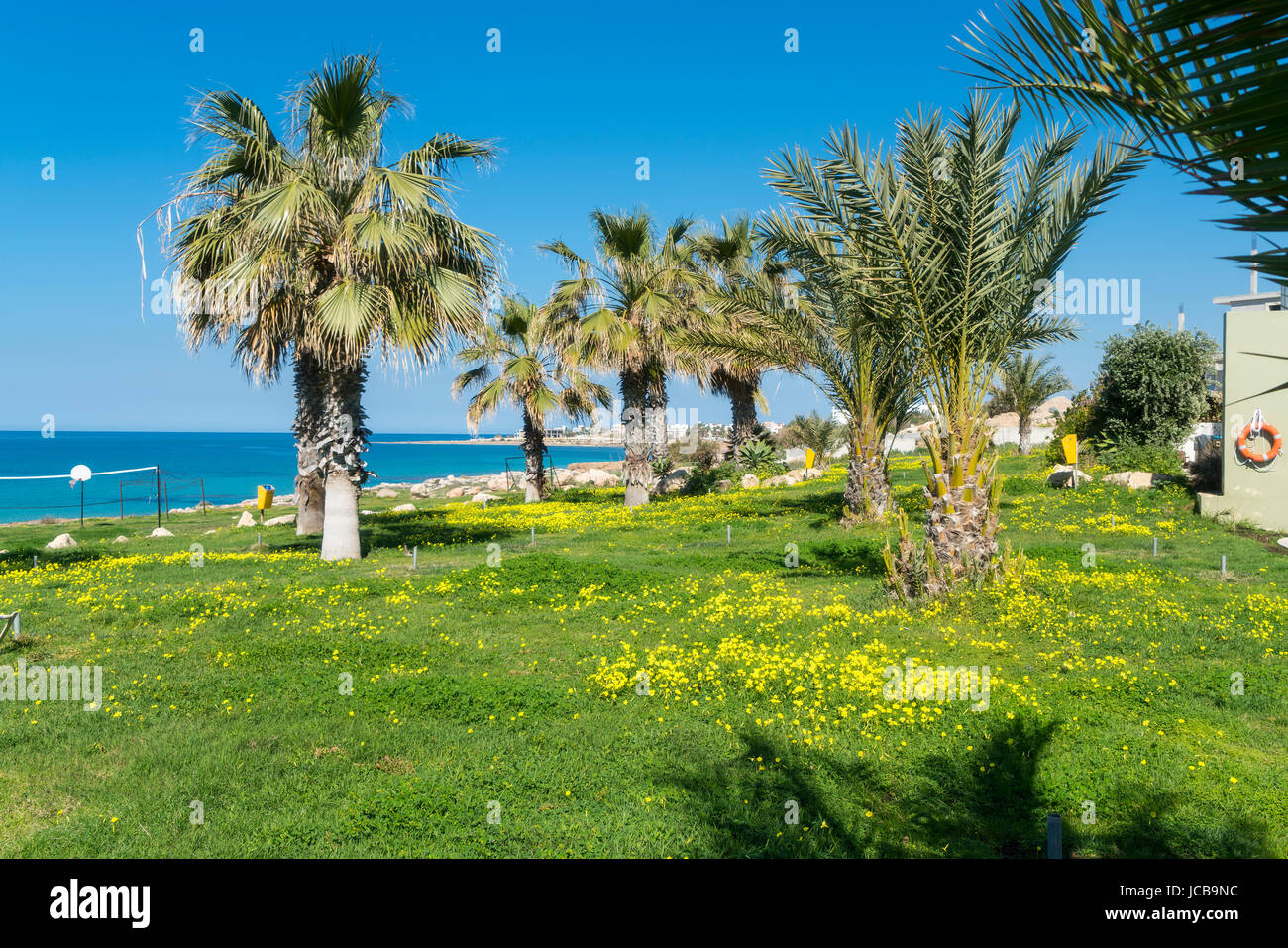 Vertical, Capital Coast Resort, sea front, coastal walk, Tomb of Kings ...