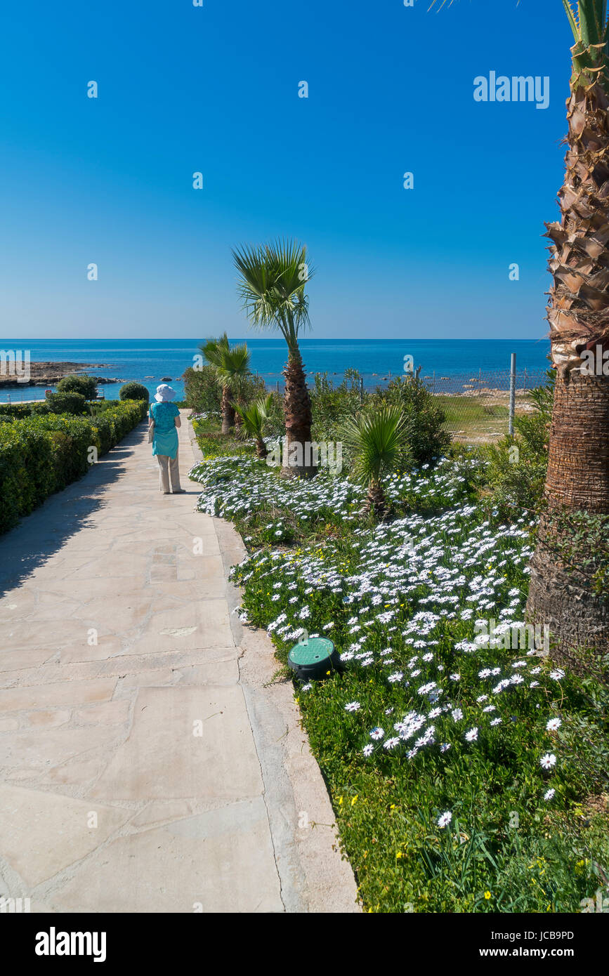 Vertical, Capital Coast, sea front, coastal walk, Broadwalk, Tombs of ...