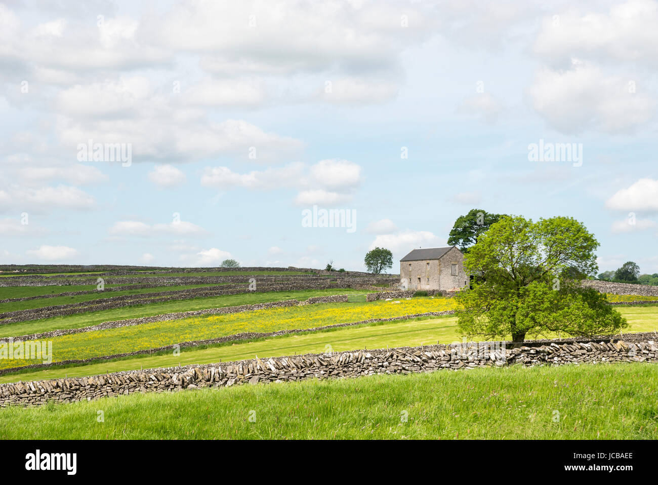 Limestone walls on the outskirts of Litton village in the White Peak ...