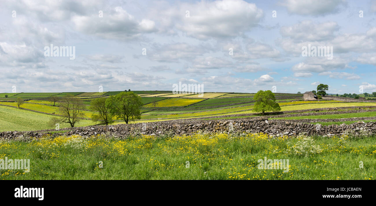 Limestone walls on the outskirts of Litton village in the White Peak ...