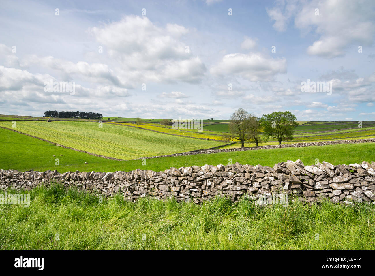 Green fields and limestone walls at Litton village in the Peak District ...