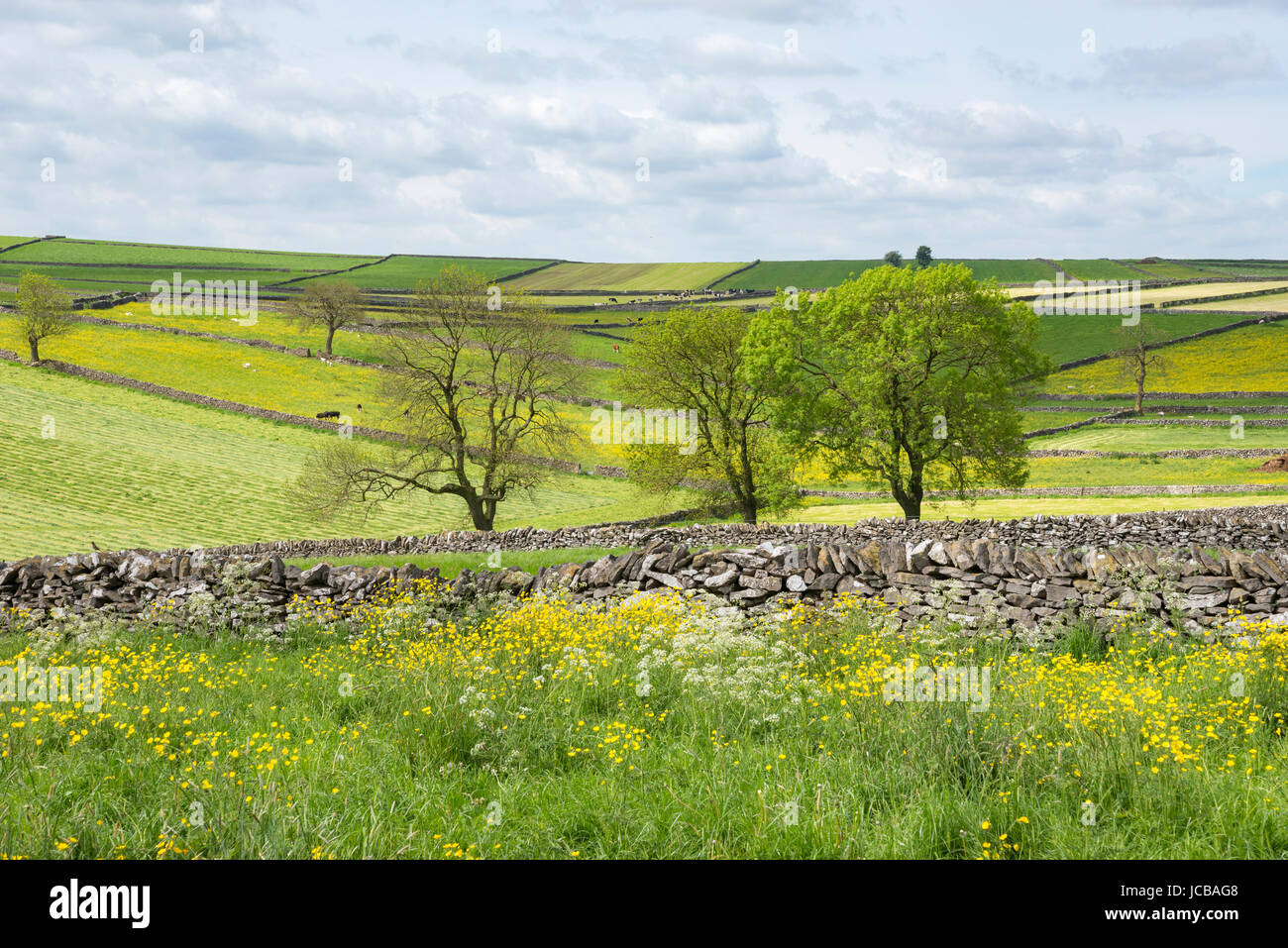 Green fields and limestone walls at Litton village in the Peak District ...