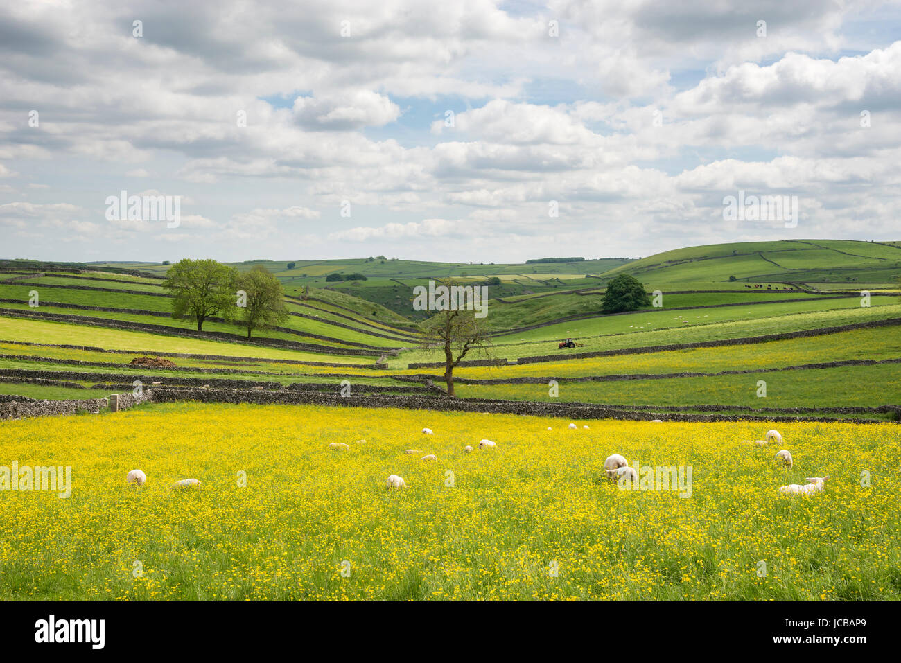 Green fields and limestone walls at Litton village in the Peak District ...