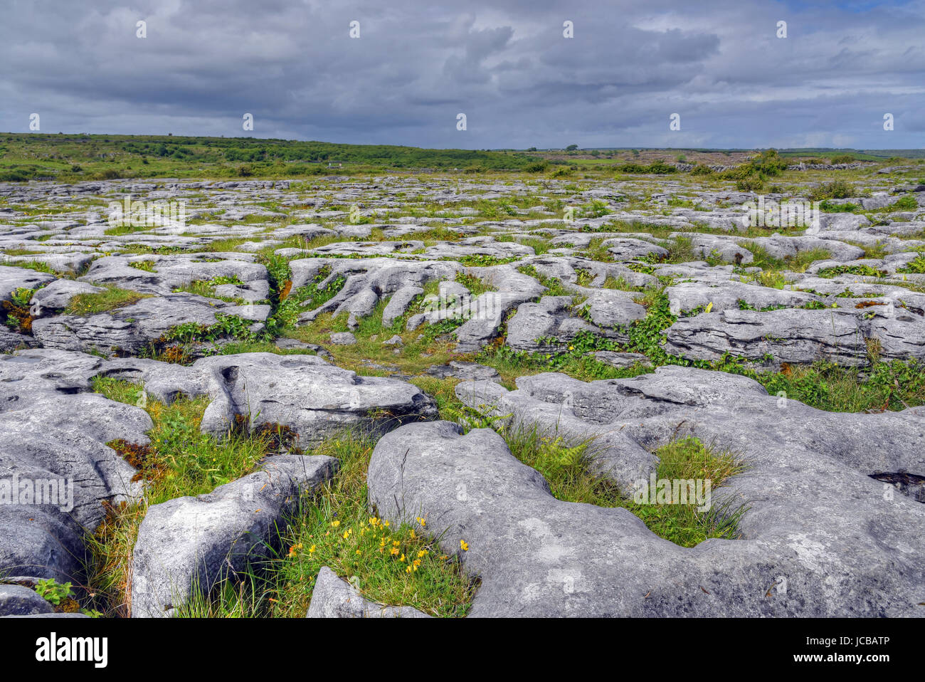 Limestone Field in the Burren, Ireland Stock Photo - Alamy