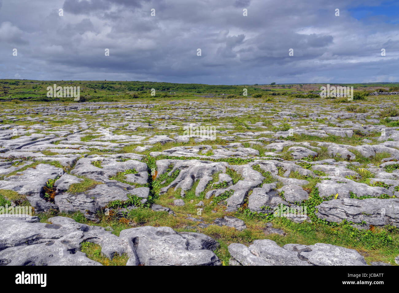 Limestone Field in the Burren, Ireland Stock Photo - Alamy