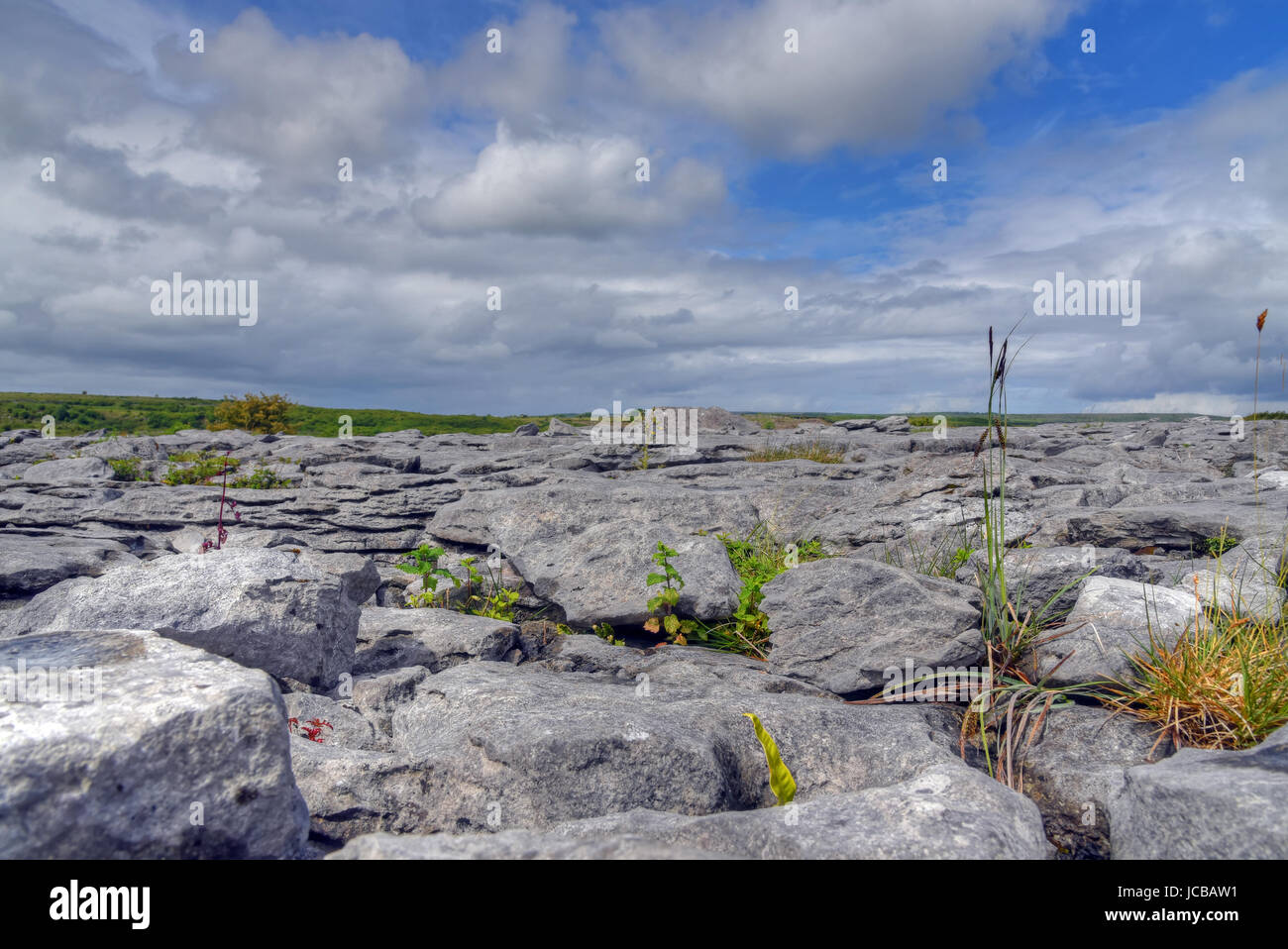 Limestone Field in the Burren, Ireland Stock Photo - Alamy