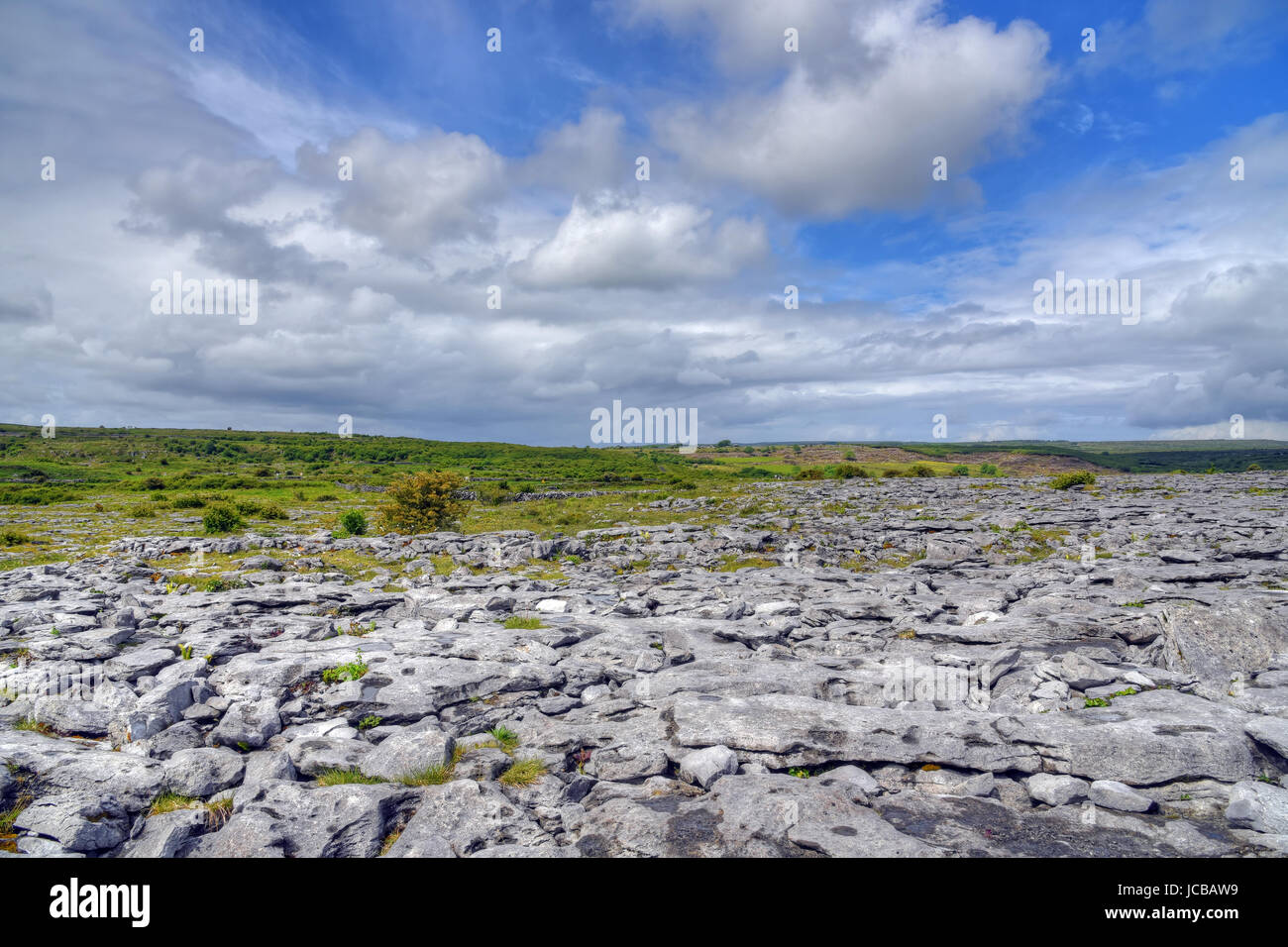 Limestone Field in the Burren, Ireland Stock Photo - Alamy