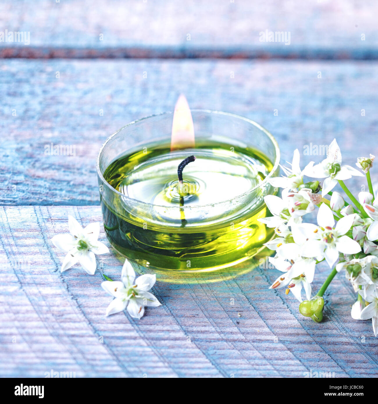 Beautiful natural organic spa background with a spray of delicate white ...