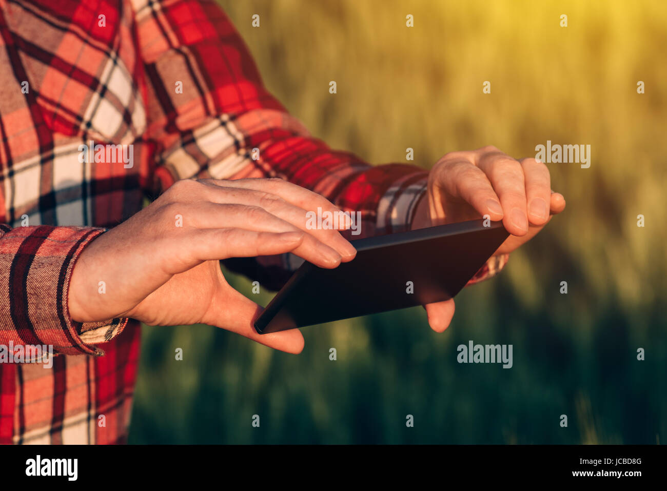 Agronomist using smart phone camera mobile app to photograph crops in ...