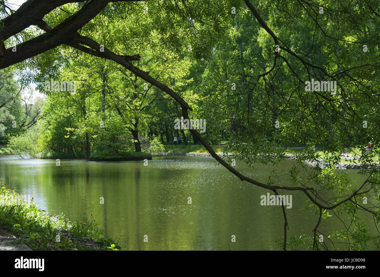 Landscape with a pond in Sokolniki park, Moscow, Russia Stock Photo - Alamy