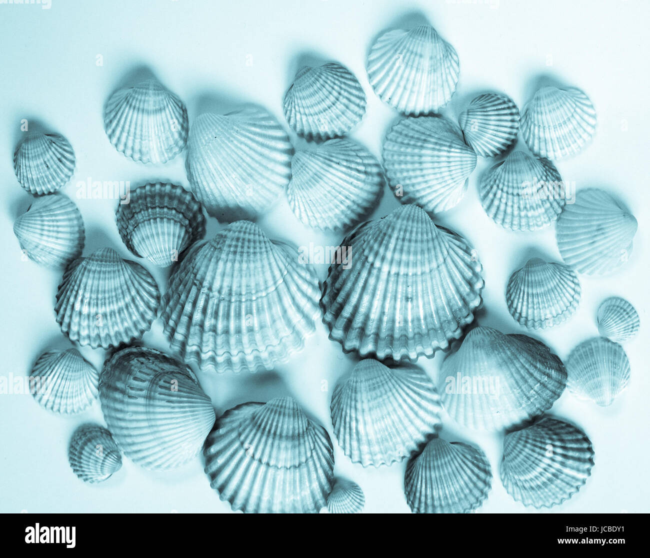 Cyanotype ocean hi-res stock photography and images - Alamy