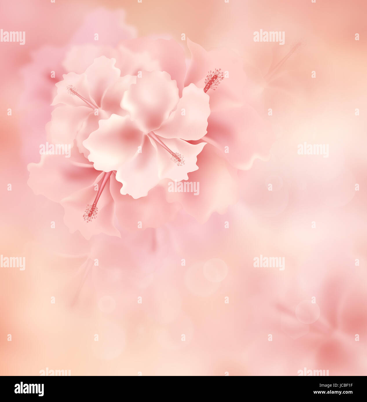 Pastel Summer Background With Pink Flowers Stock Photo - Alamy