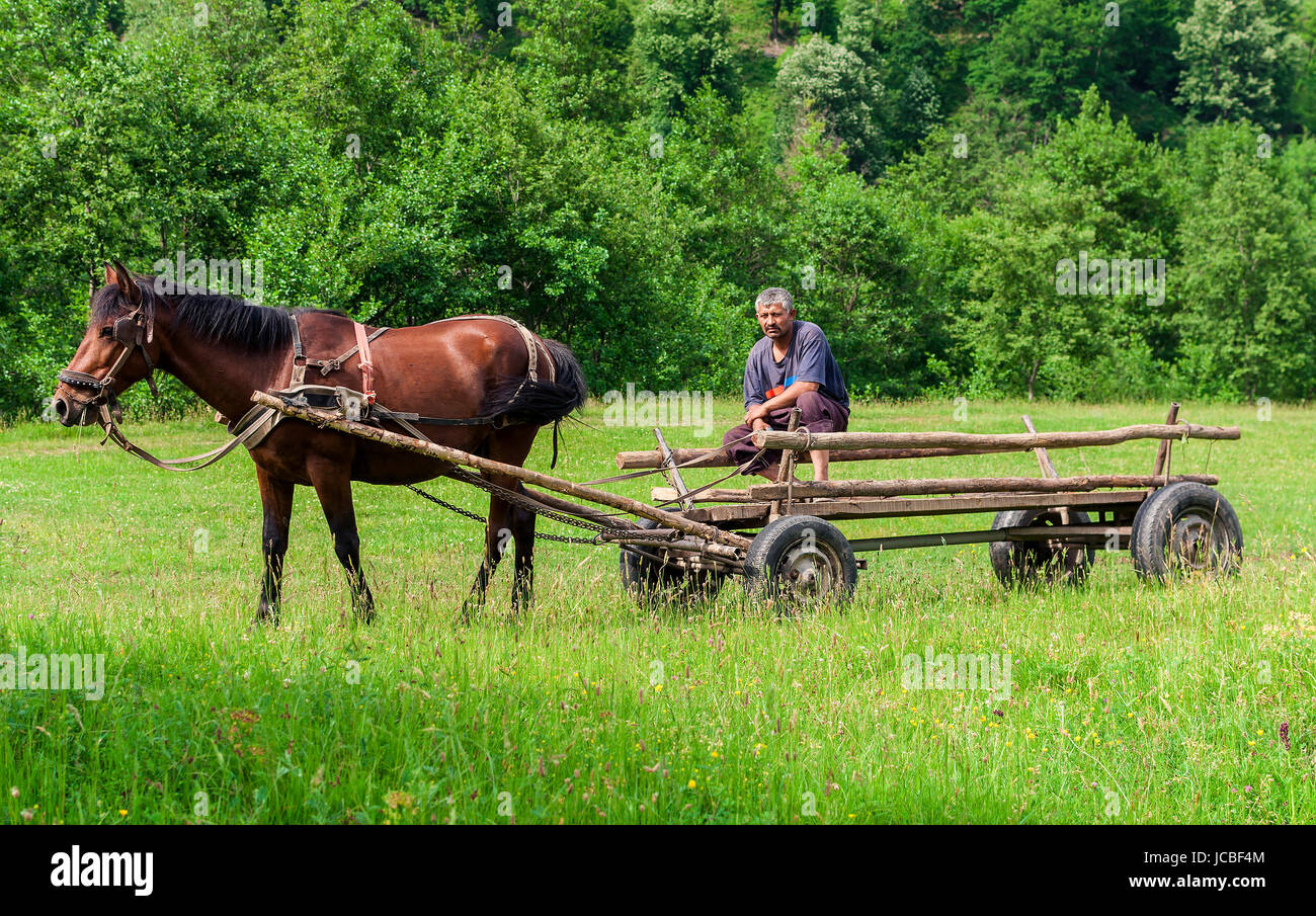 Traditional Romanian Horse Pulled Carriage High Resolution Stock ...