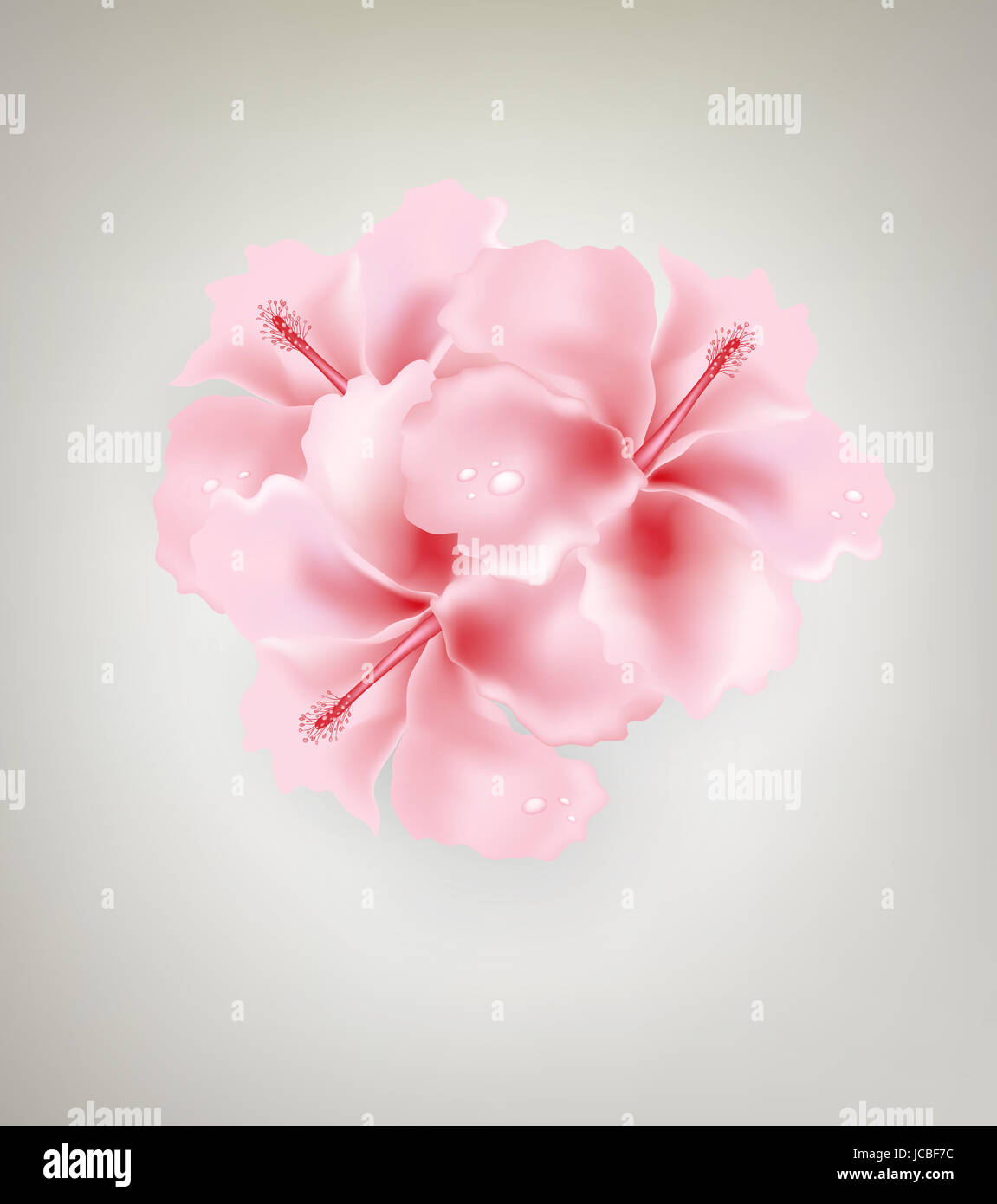 Gray Design Background With Pink Flowers Stock Photo - Alamy