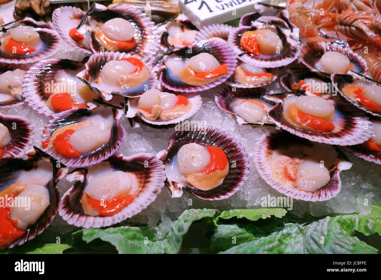 Fresh Scallops and Shellfish on sale at Santander fish market in ...