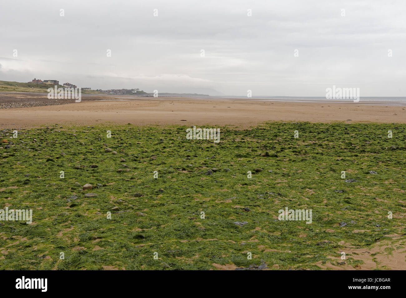 The beach at Seascale, Cumbria Stock Photo - Alamy
