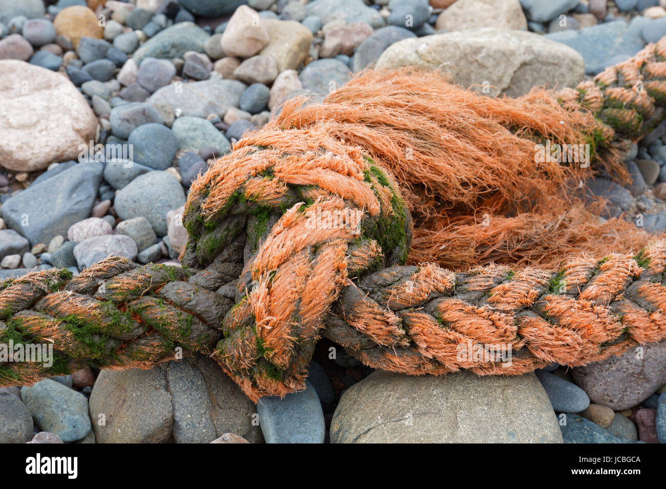 Camera found on a beach hi-res stock photography and images - Alamy