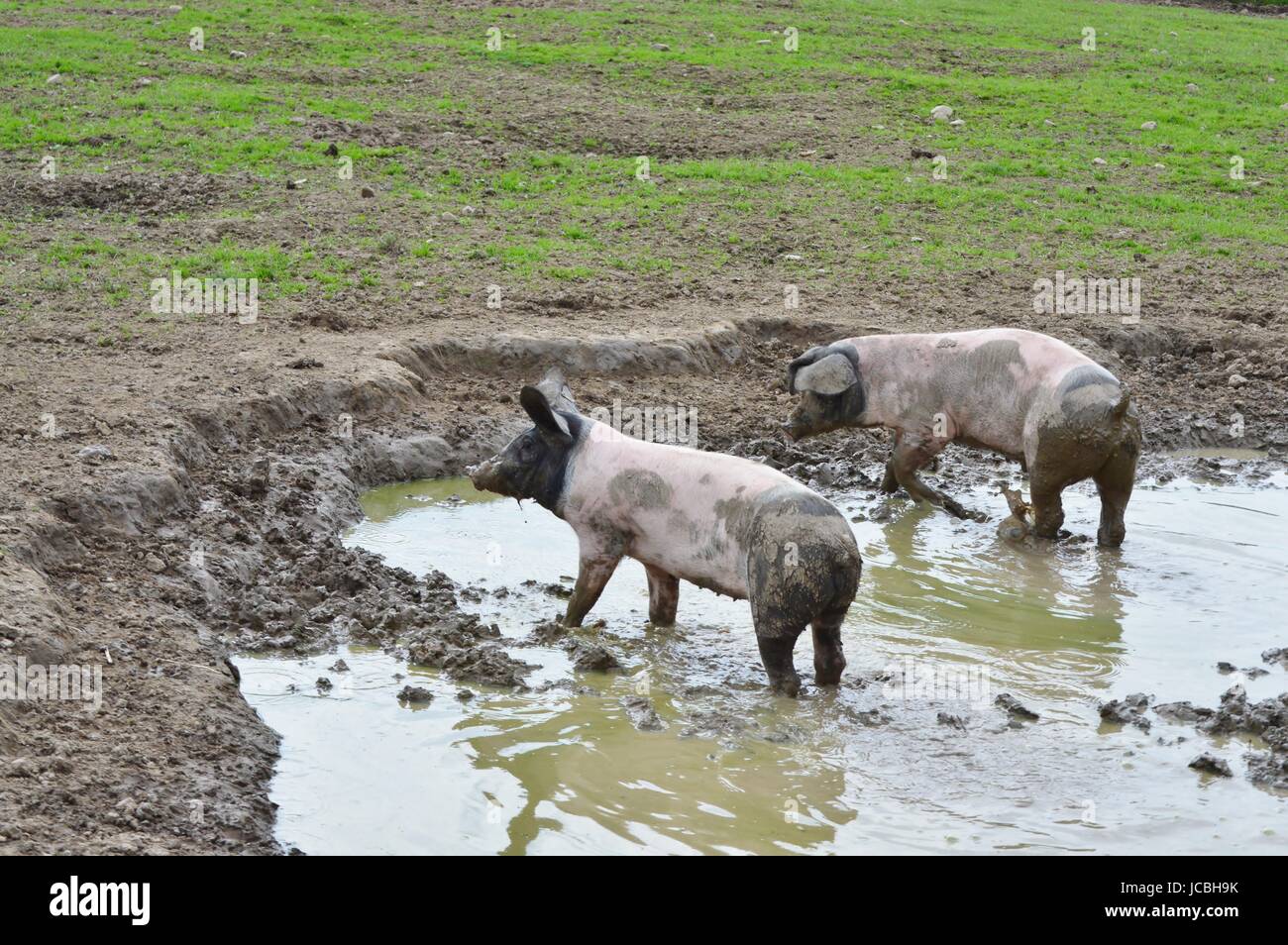 Badefest hi-res stock photography and images - Alamy