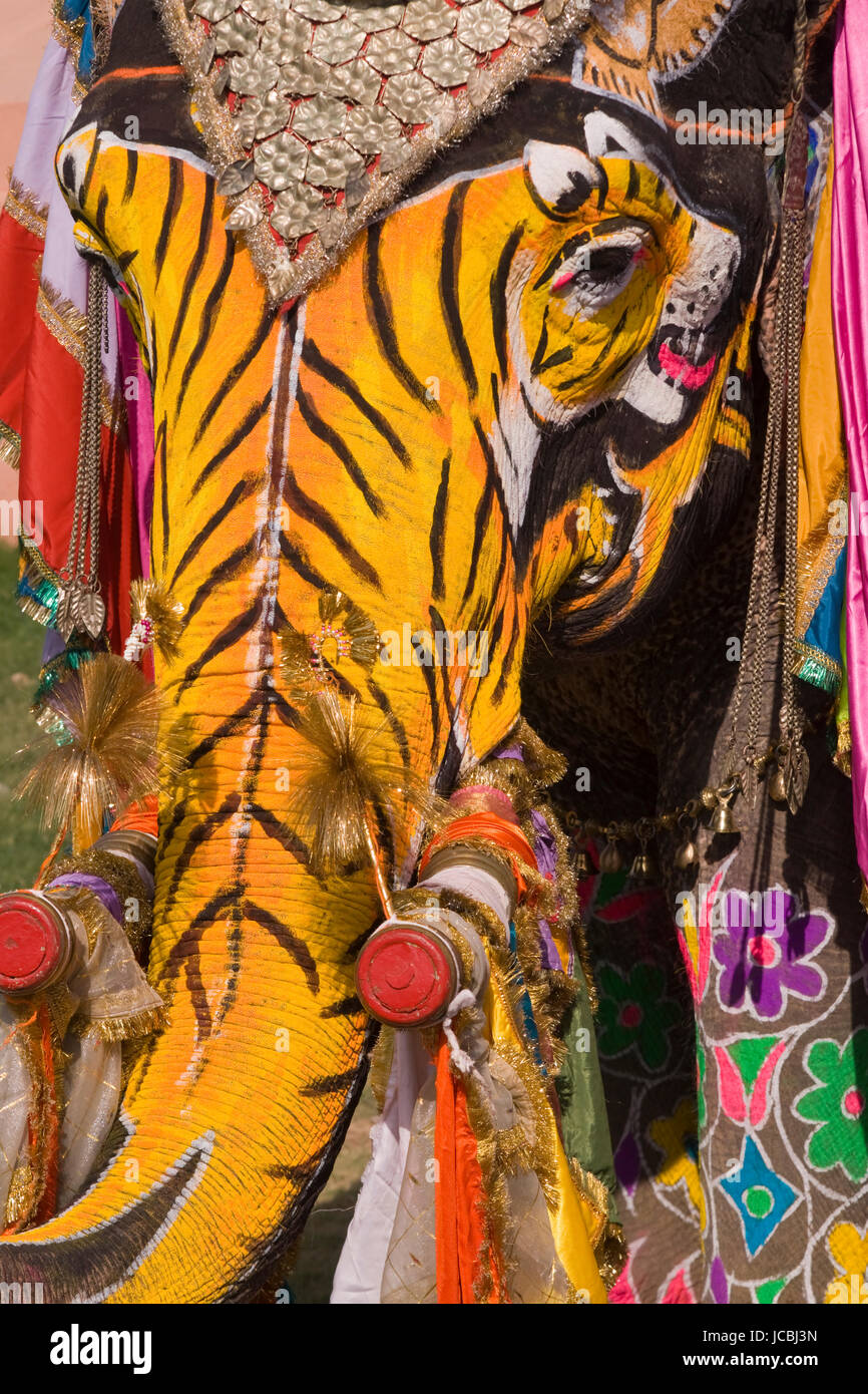 Decorated Indian Elephant (Elephas maximus indicus) at the annual ...