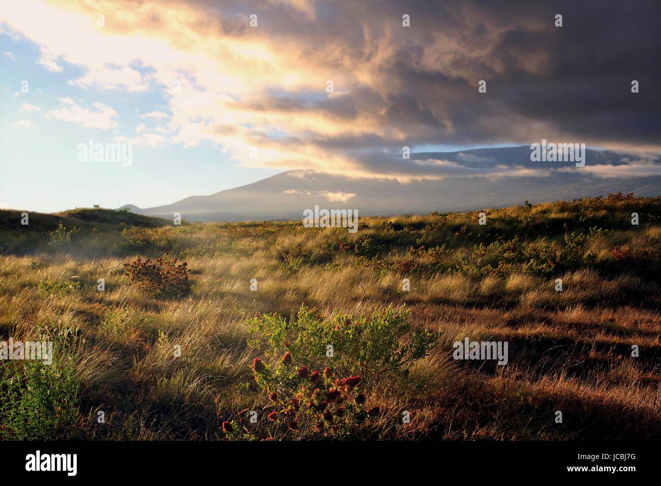 tomorrow light morning sun Stock Photo - Alamy