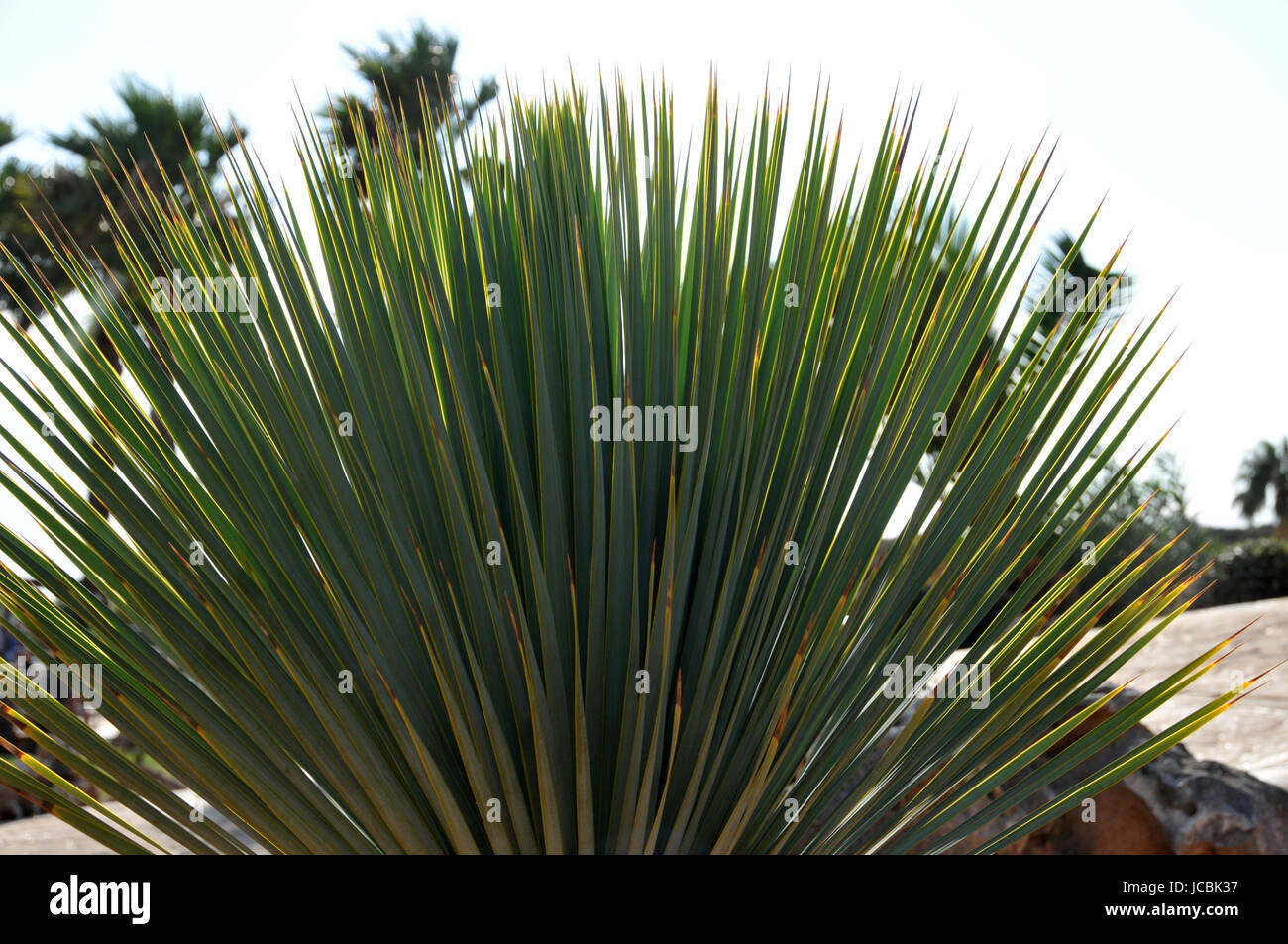 Biology journal hi-res stock photography and images - Alamy