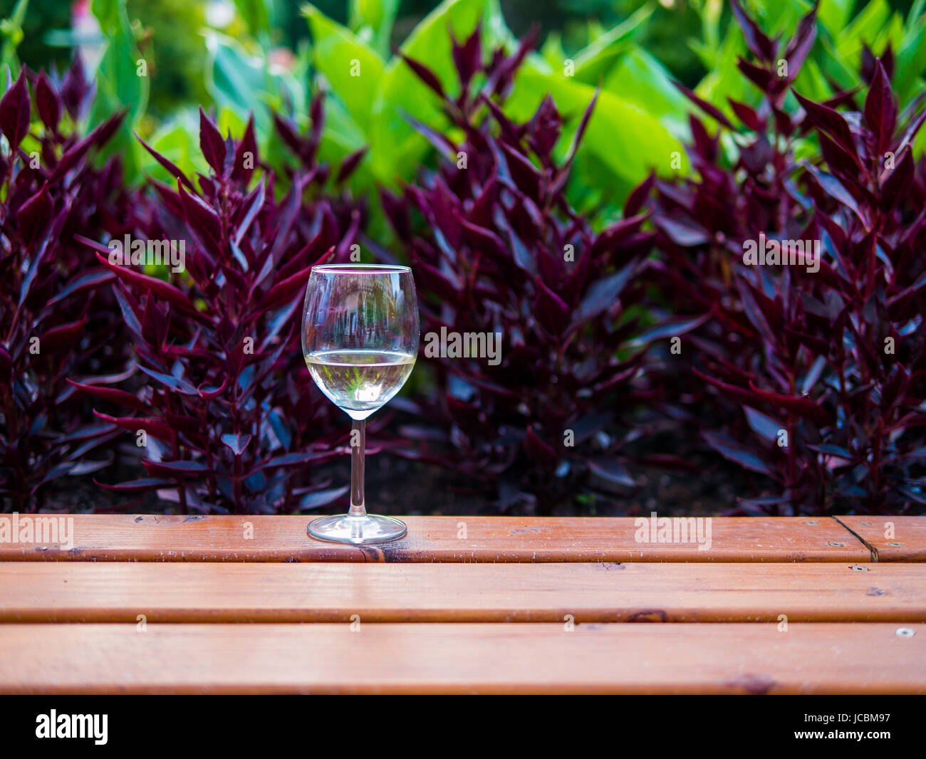 celebrate the day Stock Photo - Alamy