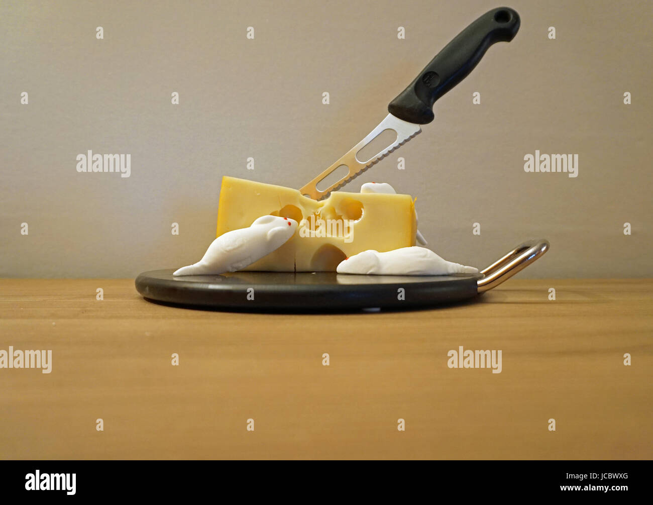 Golden mouse ear hi-res stock photography and images - Alamy