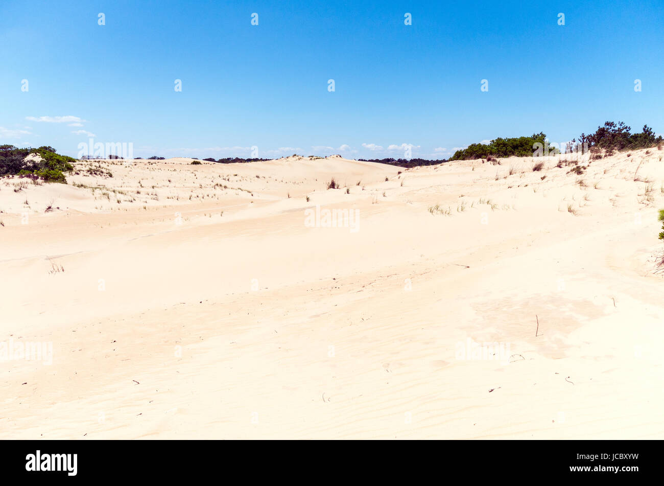 Dunes at Jockey Ridge Outer Banks North Carolina Stock Photo - Alamy