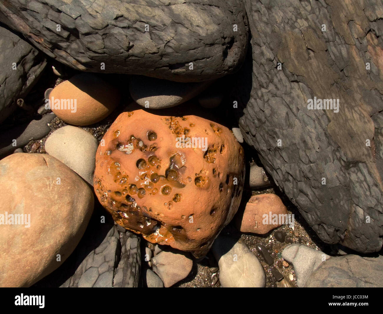 Pinole hi-res stock photography and images - Alamy