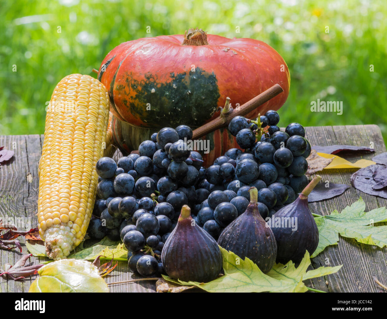Fruits of autumn, pumpkin, figs, grapes, corn and leaves Stock Photo ...