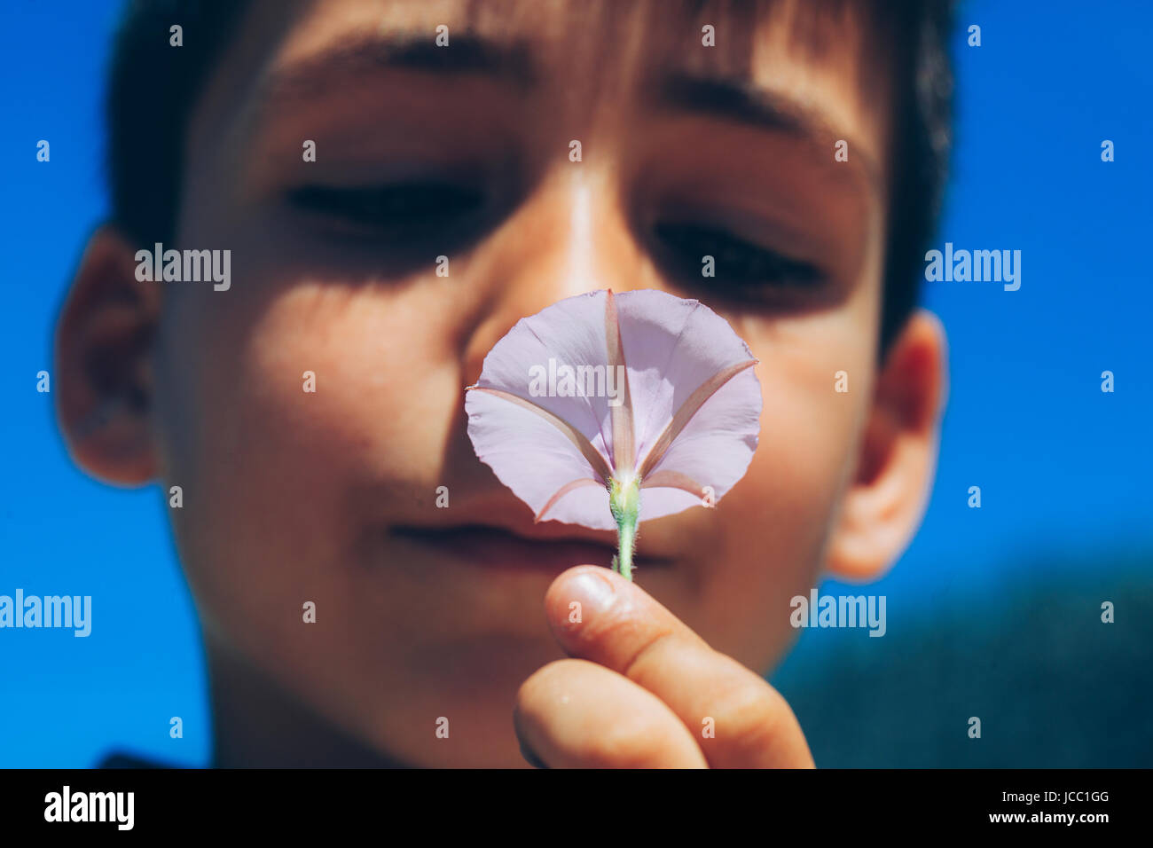 Boy with green eyes smelling flower Stock Photo - Alamy