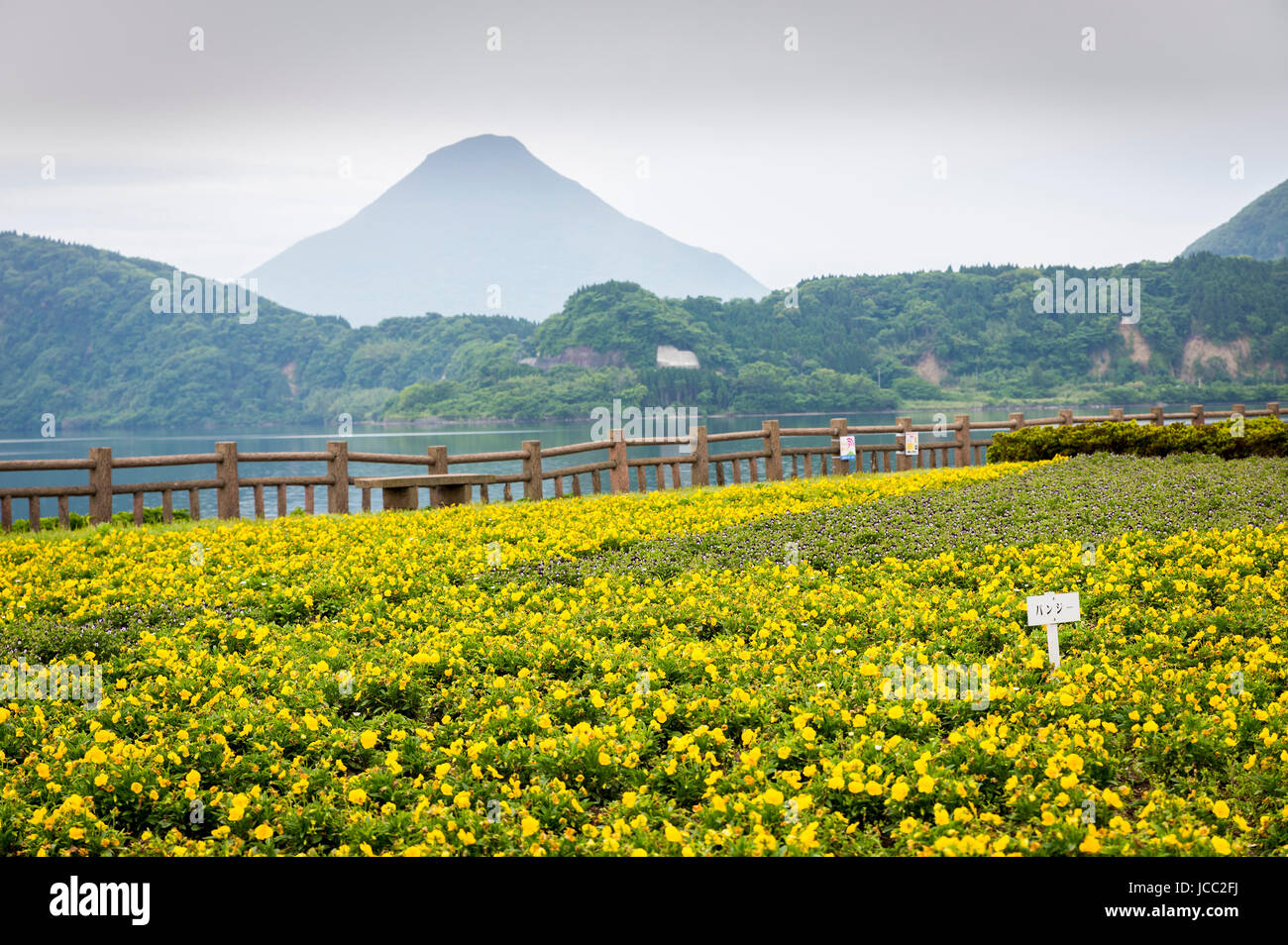 Kaimondake mountain hi-res stock photography and images - Alamy