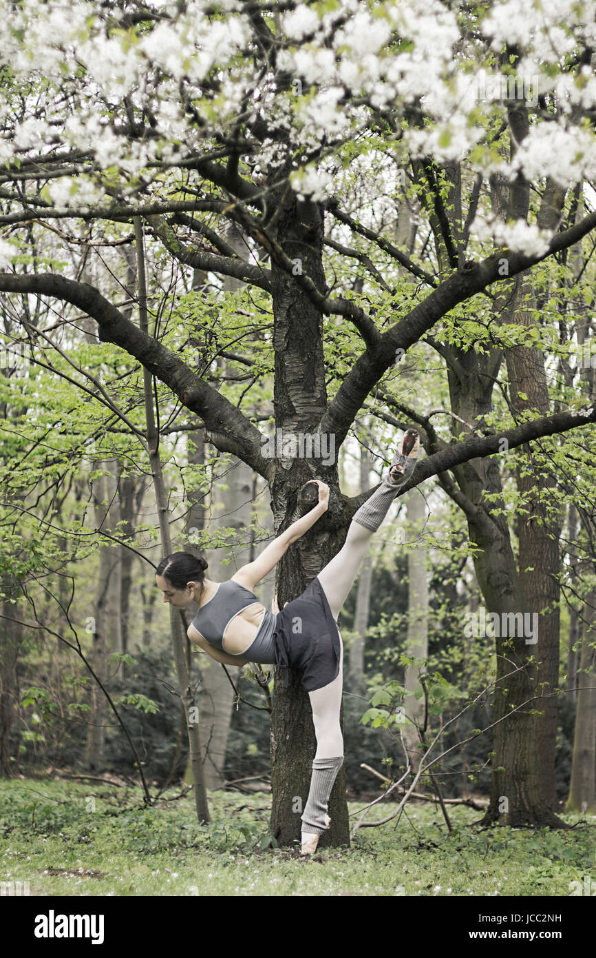Nature & Ballet Stock Photo - Alamy