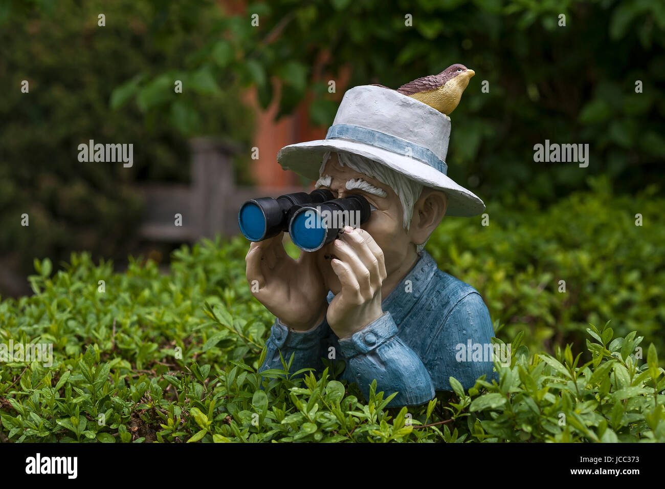 Human figure with bird on hat and binoculars looking over a hedge ...