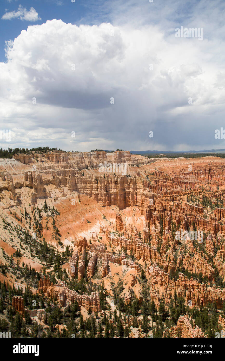 View from Bryce Point, Bryce Canyon National Park, Utah, USA Stock ...