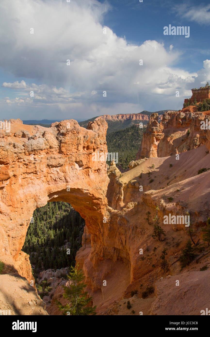 Natural Bridge, Bryce Canyon National Park, Utah, USA Stock Photo - Alamy