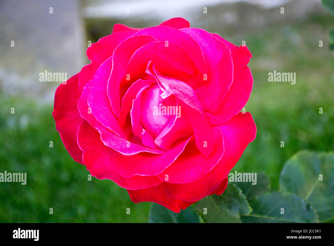 trade symbol red Stock Photo - Alamy