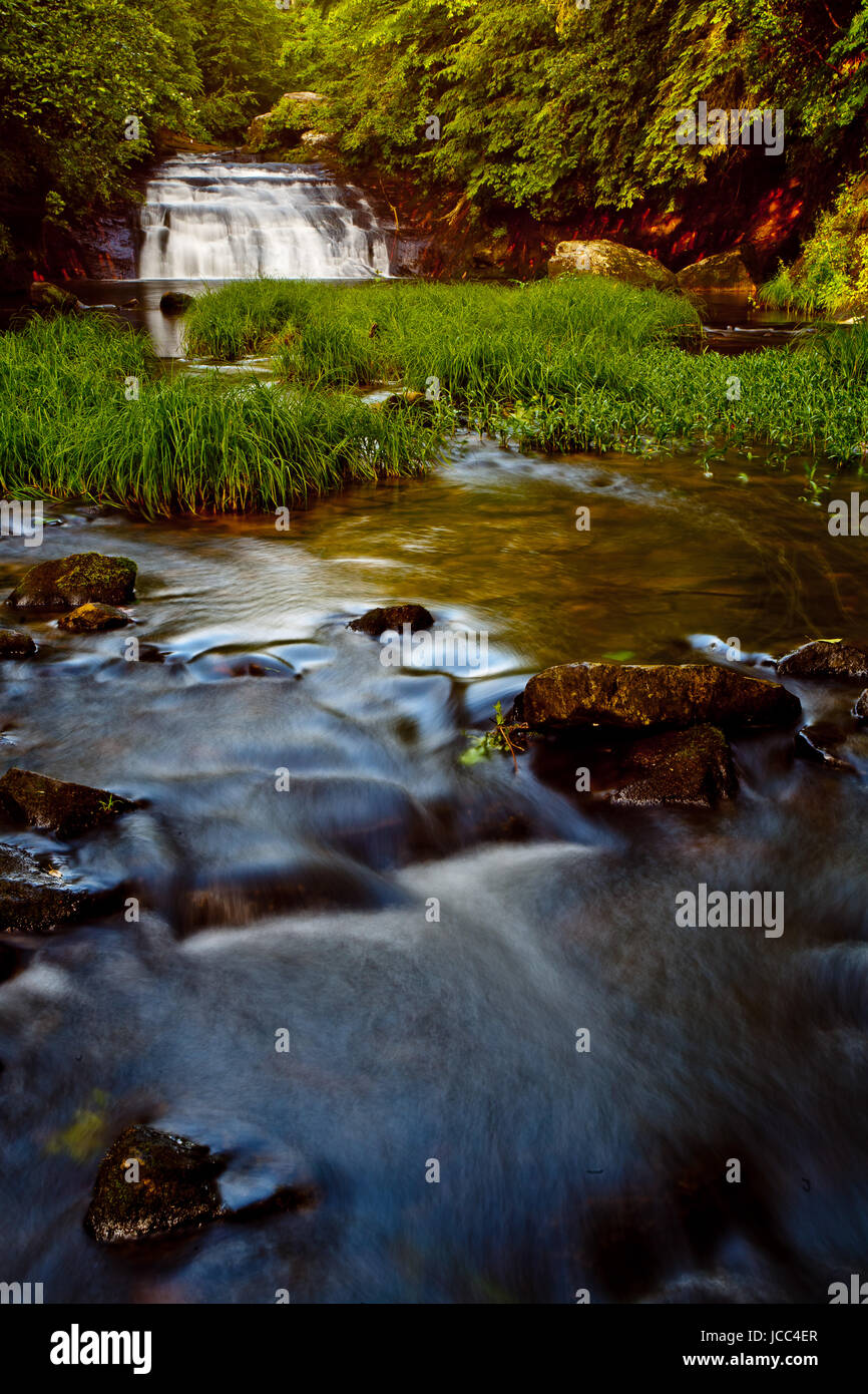 Waterfall flowing through the forest Stock Photo - Alamy Waterfall flowing through the forest Stock Photo - Alamy