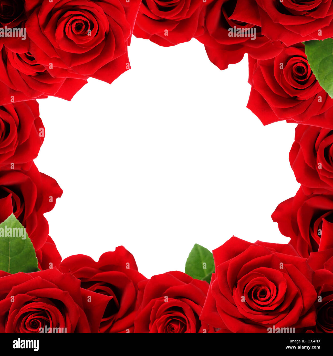 Red roses boarder with blank white background Stock Photo - Alamy