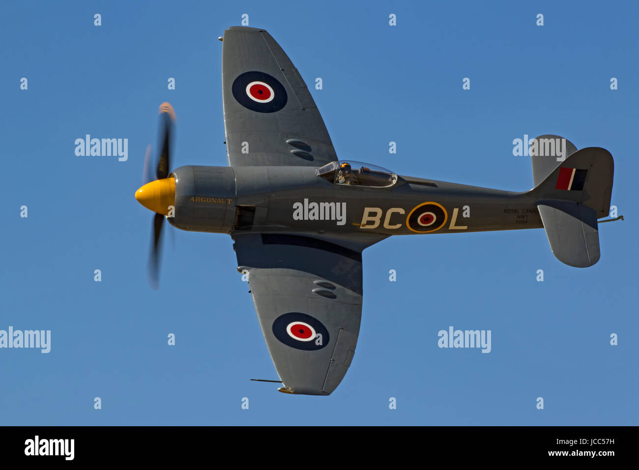 Airplane WWII British Hawker Sea Fury fighter flying at California Air ...