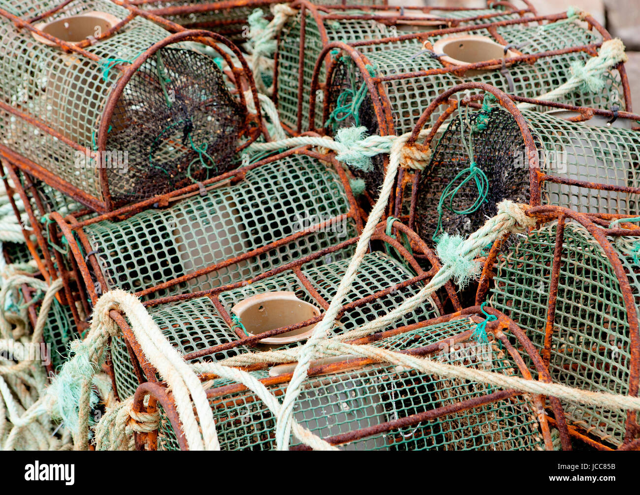 Octopus Trap Stock Photos & Octopus Trap Stock Images - Alamy