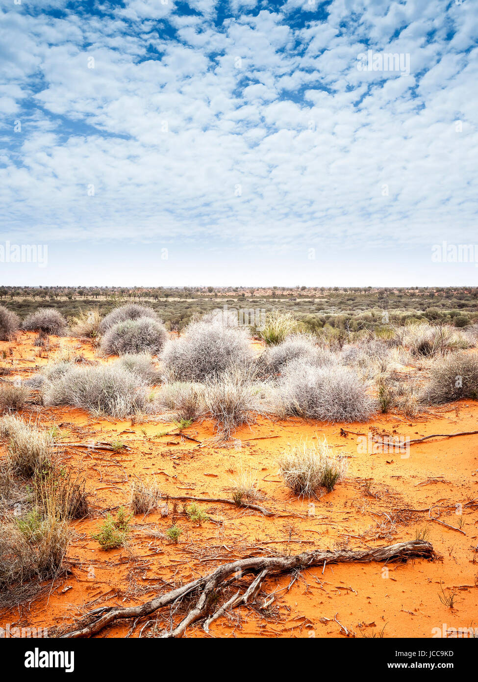 An image of the dry australian outback Stock Photo - Alamy