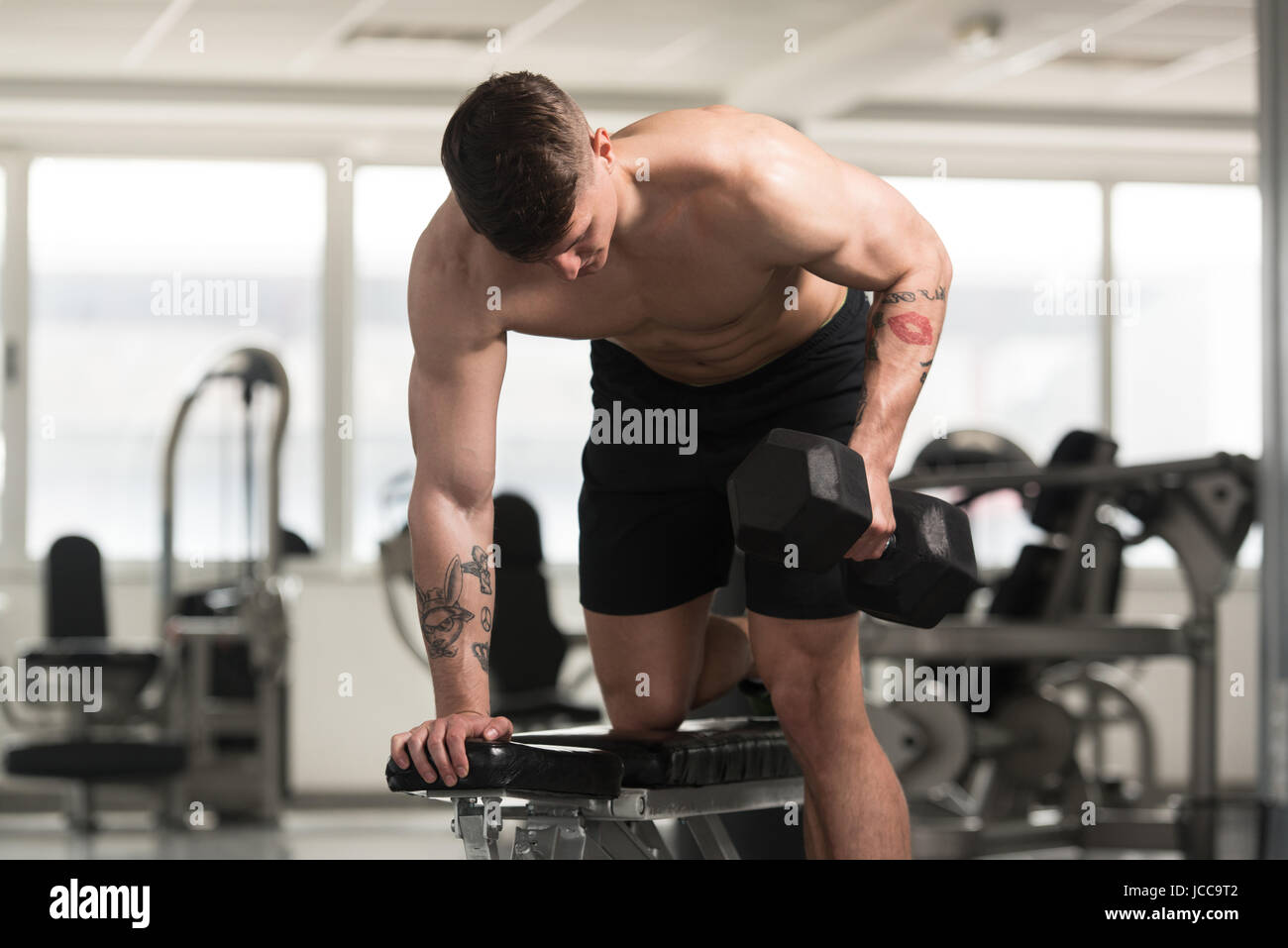 Athlete Working Out Back In A Gym - Dumbbell Concentration Curls Stock ...