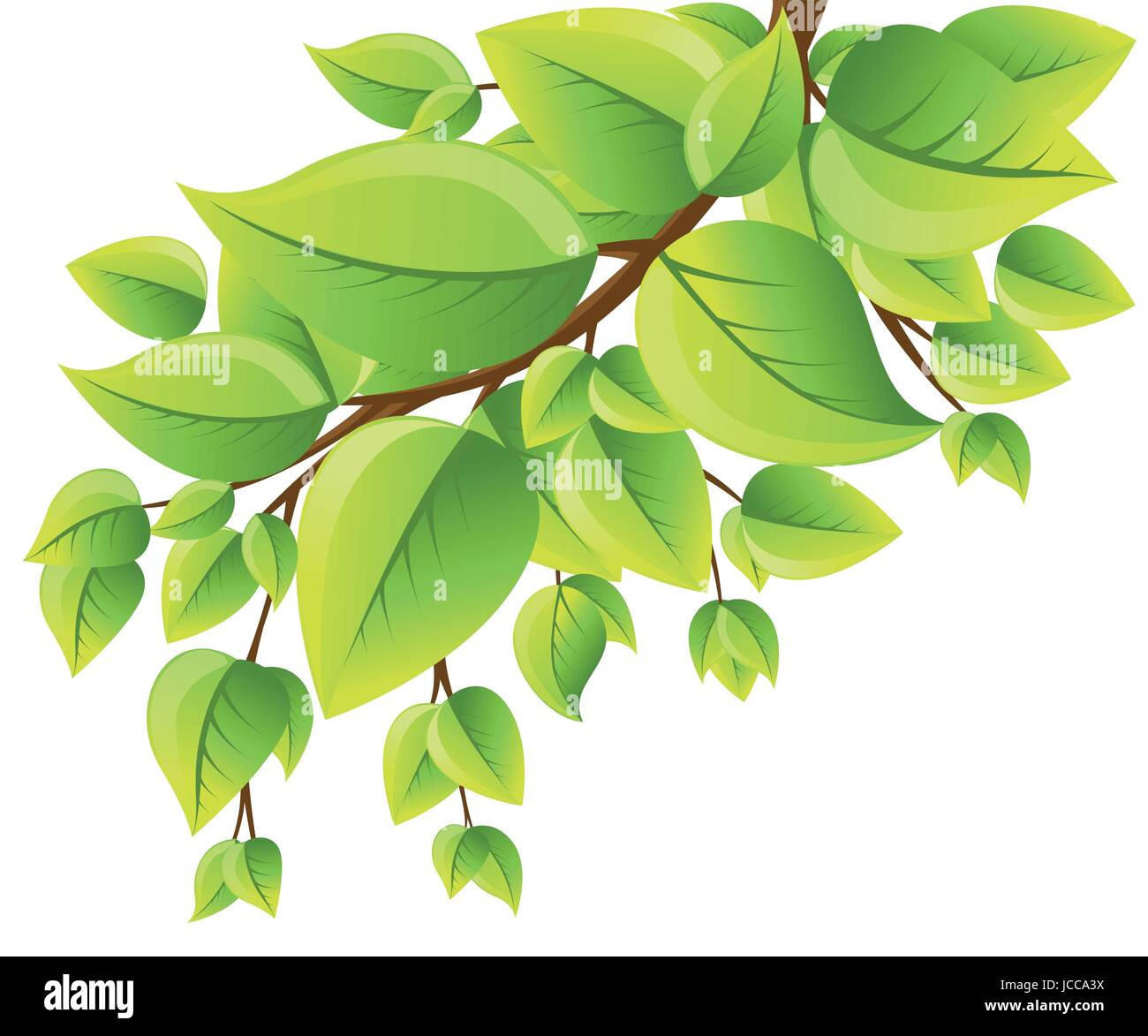 Vector tree and branch hi-res stock photography and images - Alamy