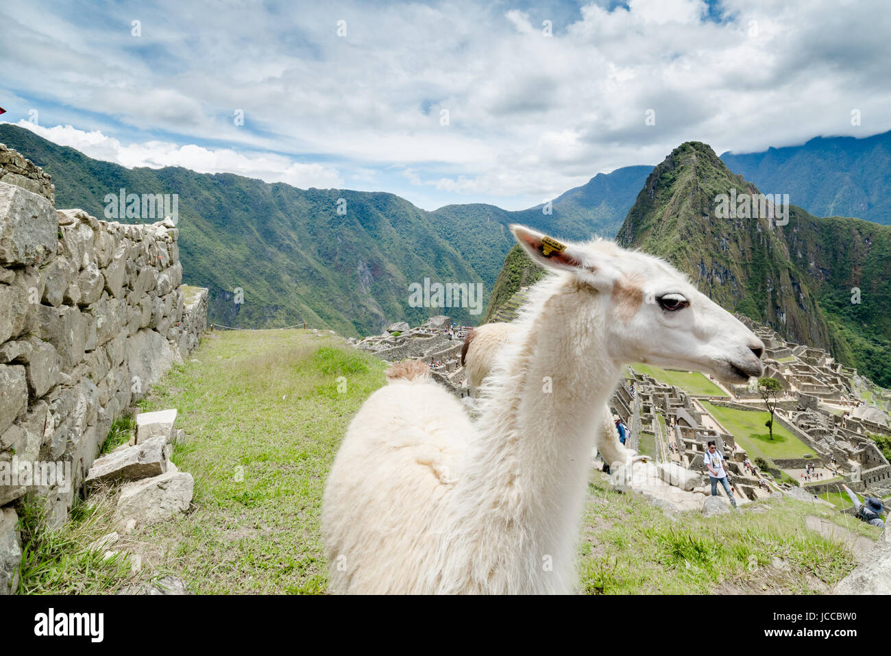 Machu picchu region hi-res stock photography and images - Alamy