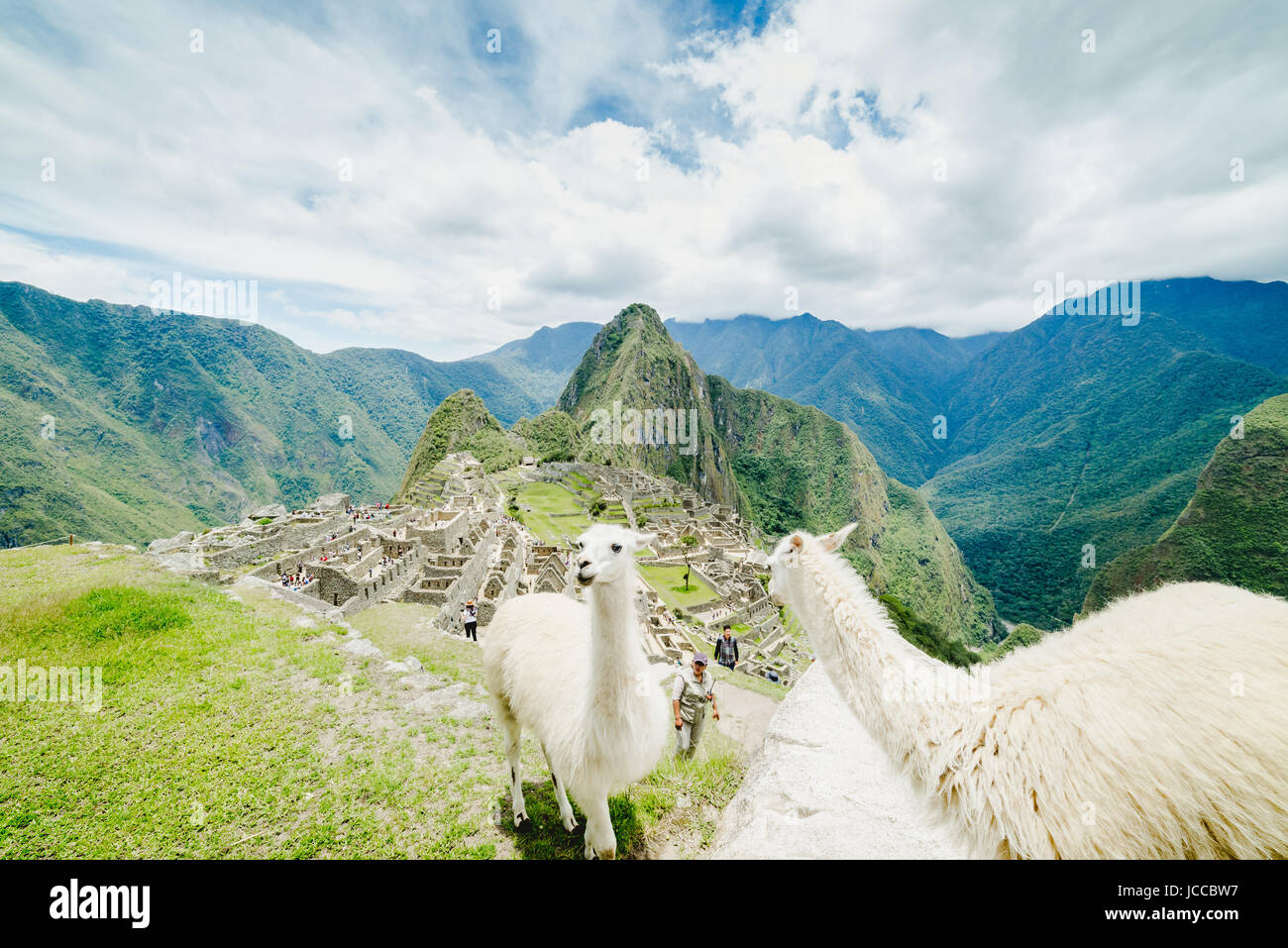 Machu Picchu, region of Cusco, Peru Stock Photo - Alamy
