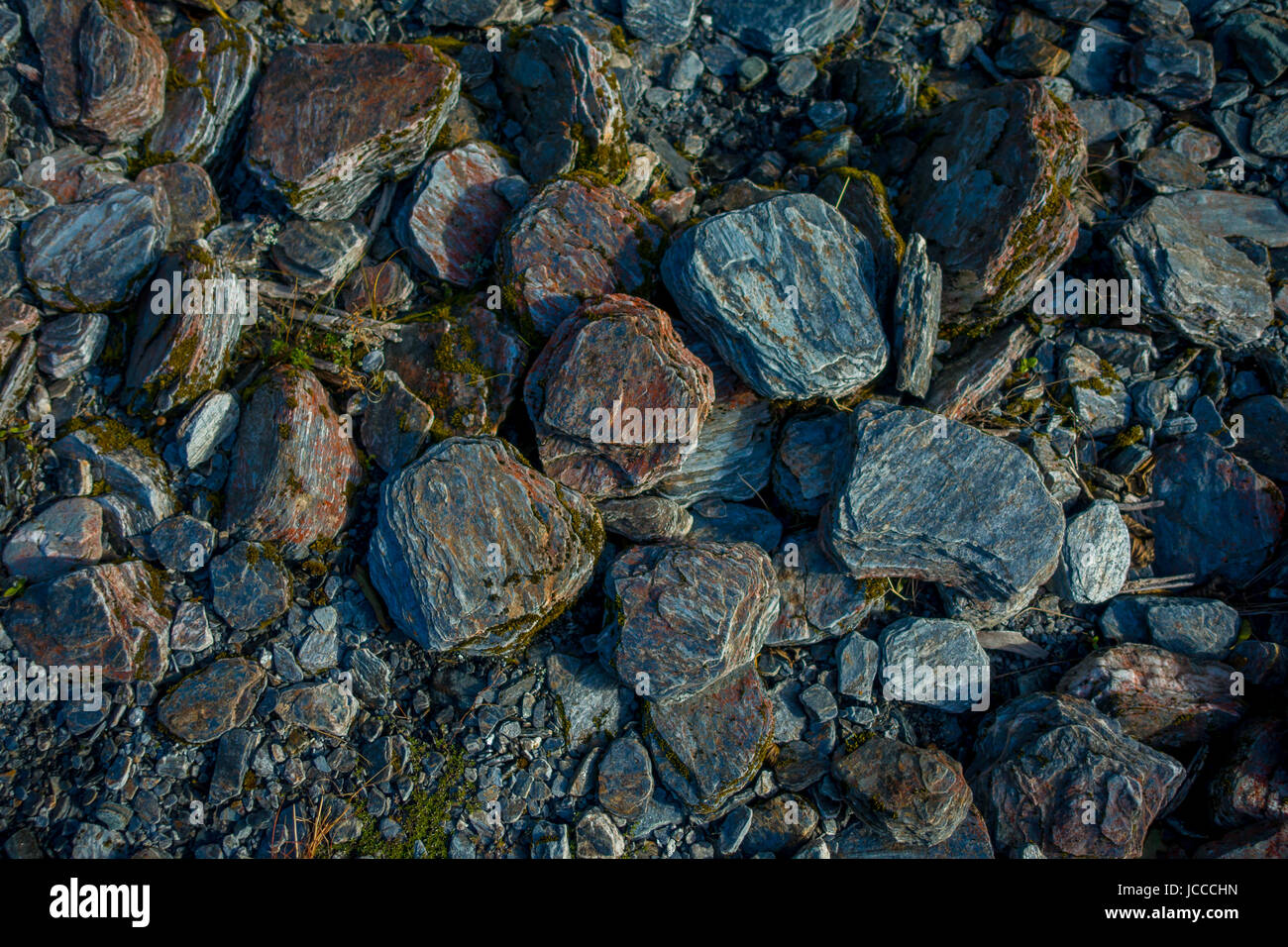Flatted rocks located in Franz Josef Glacier National Park, in New ...
