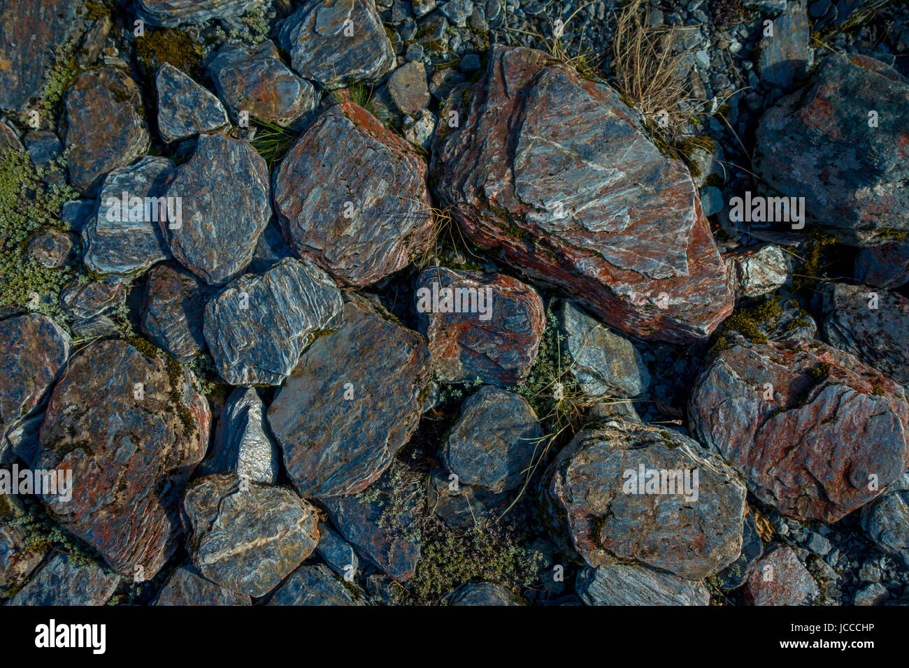 Flatted rocks located in Franz Josef Glacier National Park, in New ...