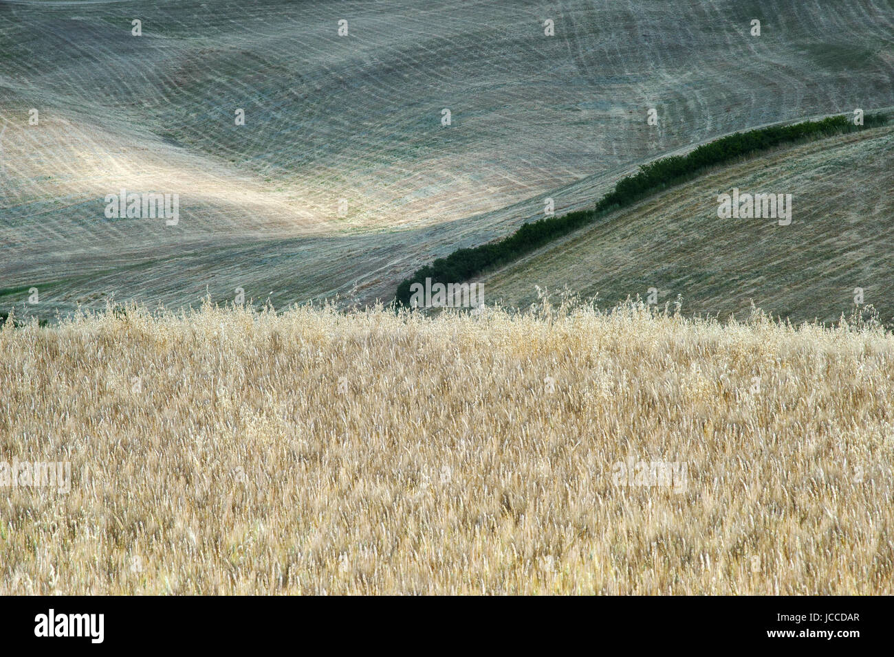 Colline crete senesi hi-res stock photography and images - Alamy