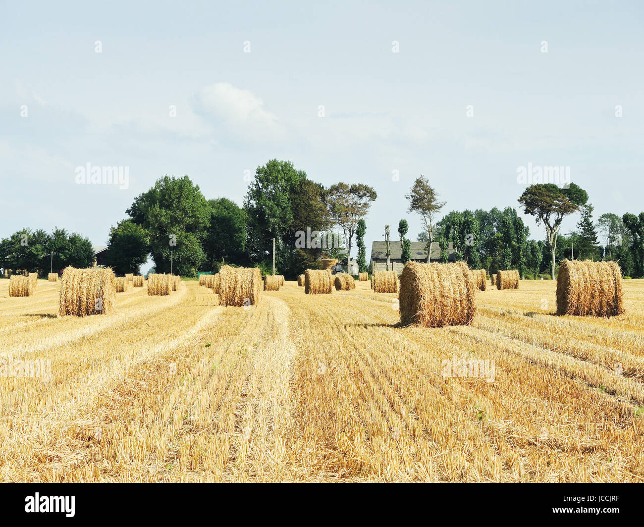 landscape with haystack rolls on harvested field in Normandy, France ...